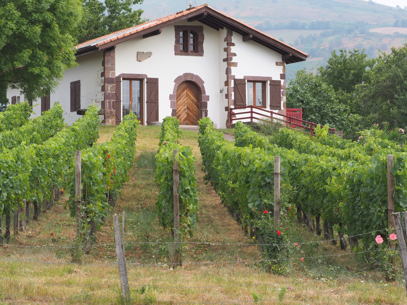 Trott'Iraty - Trottinette tout terrain à Irouléguy - VTT / Scooters ...