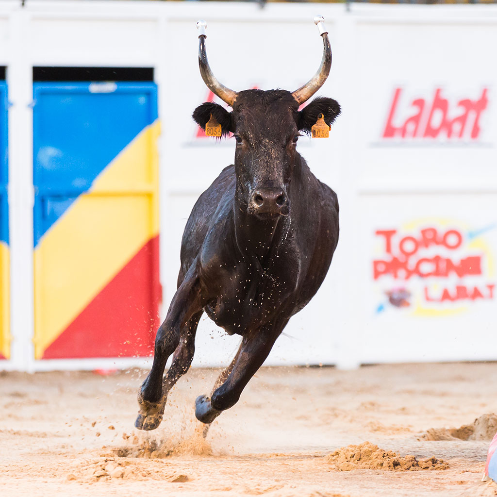 Tourisme, Vacances, Séjours, Visites, Activités, Guide du Pays Basque